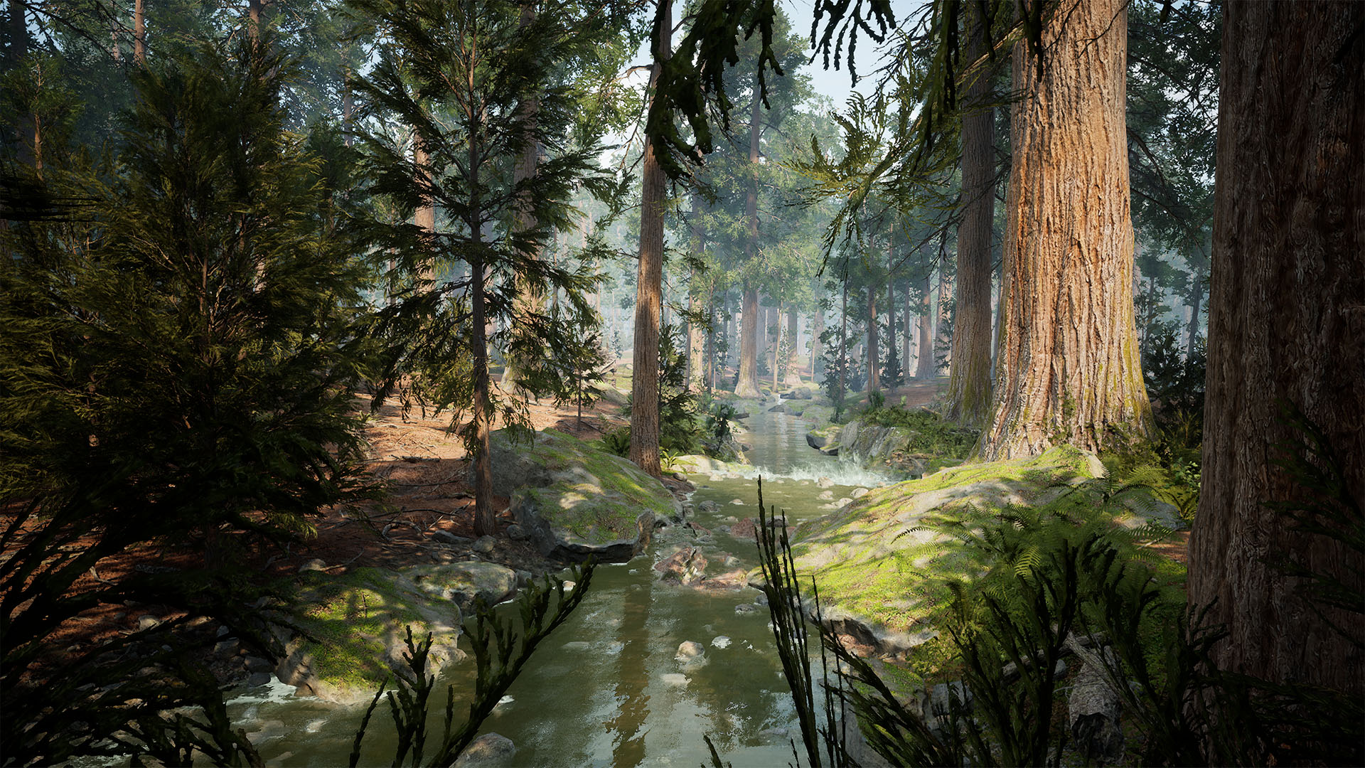 Biomes – Wild Wyvern Studios